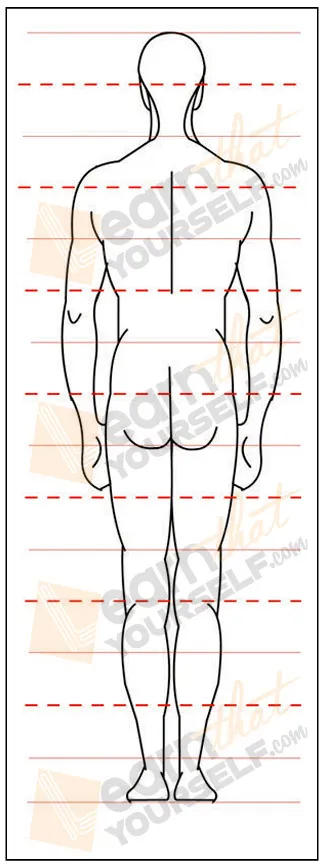 How To Draw The Human Anatomy