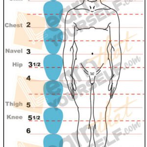 Anatomy-Study-5 | Learn That Yourself