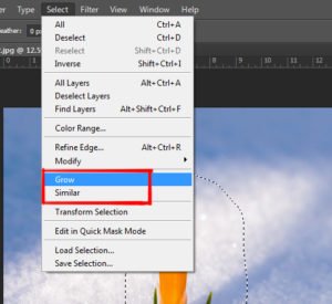 Select Menu In Photoshop | Learn That Yourself